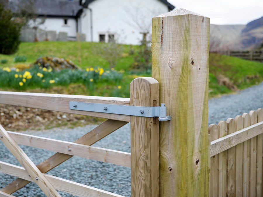 A Guide To The Different Hinges for Gates and Doors