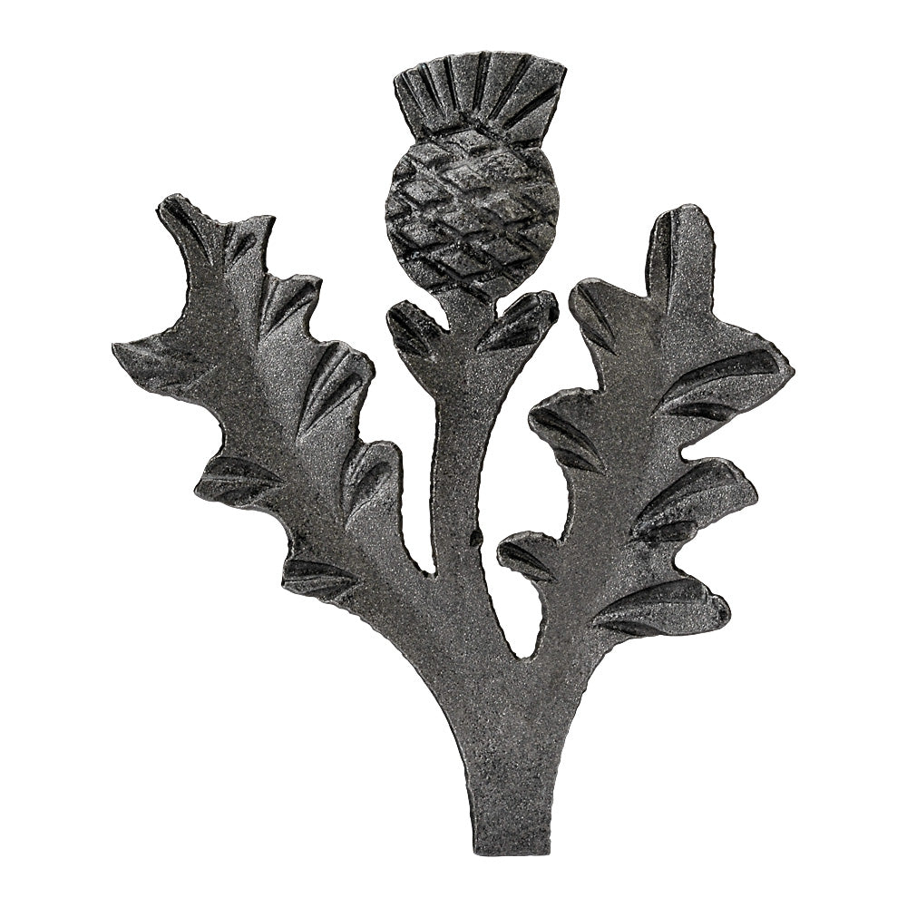 FLTHM - Medium Scottish Thistle - DC Iron